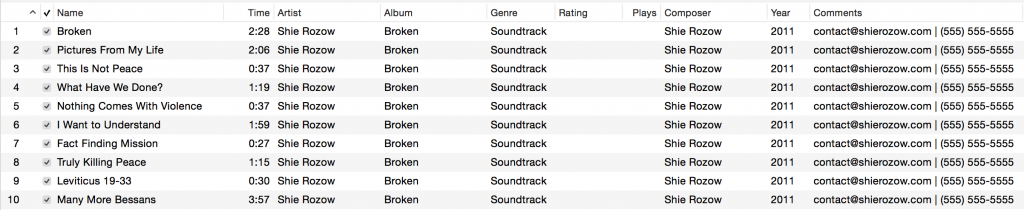 Good File Naming and Metadata Practices for Your Audio Tracks – Shie ...